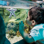 New Jersey Sea Life Aquarium (United States, East Rutherford, 1 American Dream Way, Suite A (Upper Level)), akvaryumlar  New Jersey Eyaleti'nden