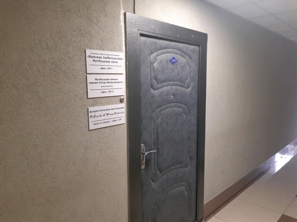 Spor okulları Футбольная школа имени Петра Василевского, Minsk, foto
