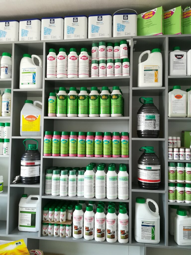 Tarım firmaları Salar Agromarket, Taşkent, foto