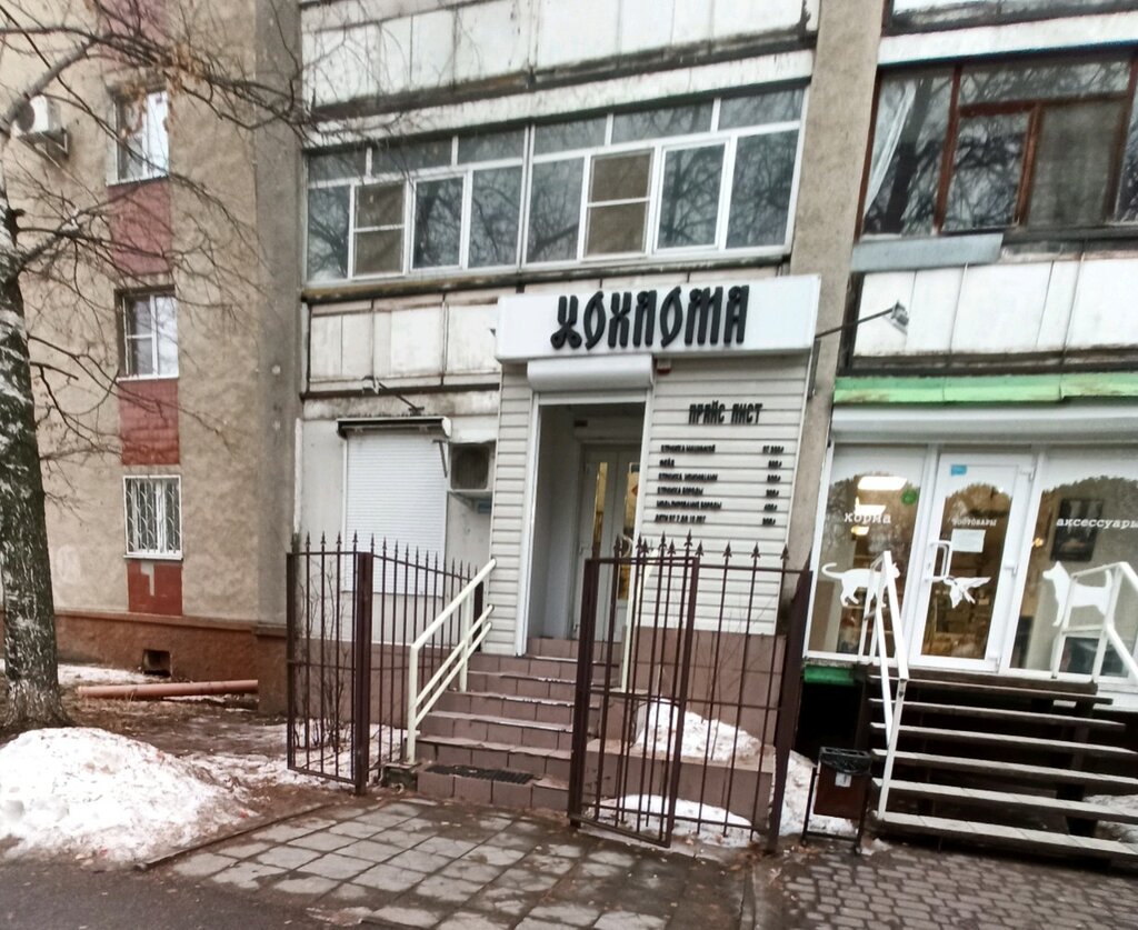 Berberler Хохлома, Voronej, foto