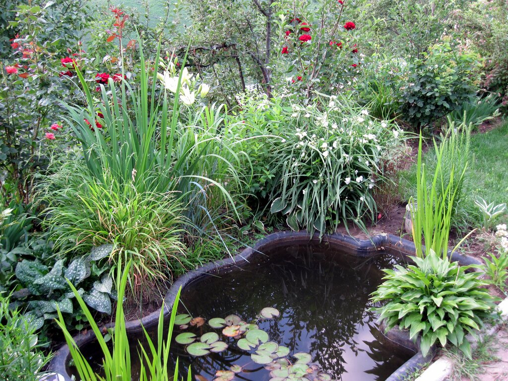 Bahçecilik mağazaları Magic Garden, Almatı, foto