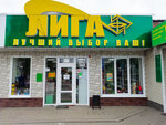 Лига (ulitsa Kotovskogo No:20/1), süpermarket  Valuyki'den