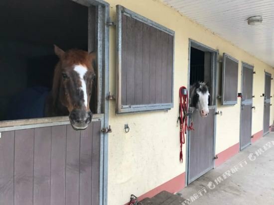 Otel Stable Court Apartments, County Antrim, foto
