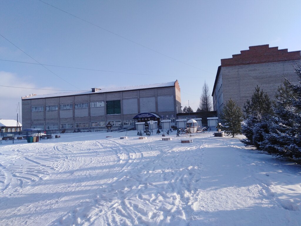 Meslek yüksekokulu Асиновский техникум промышленной индустрии и сервиса, главный корпус, Asino, foto