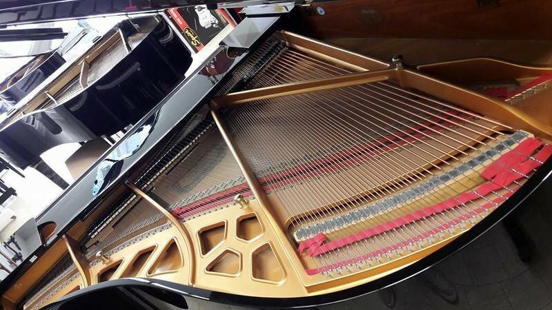 Müzik enstrumanların tamiri Il Pentagramma Pianoforti Strumenti Musicali di Fraccaro Alessandro, Dünya, foto