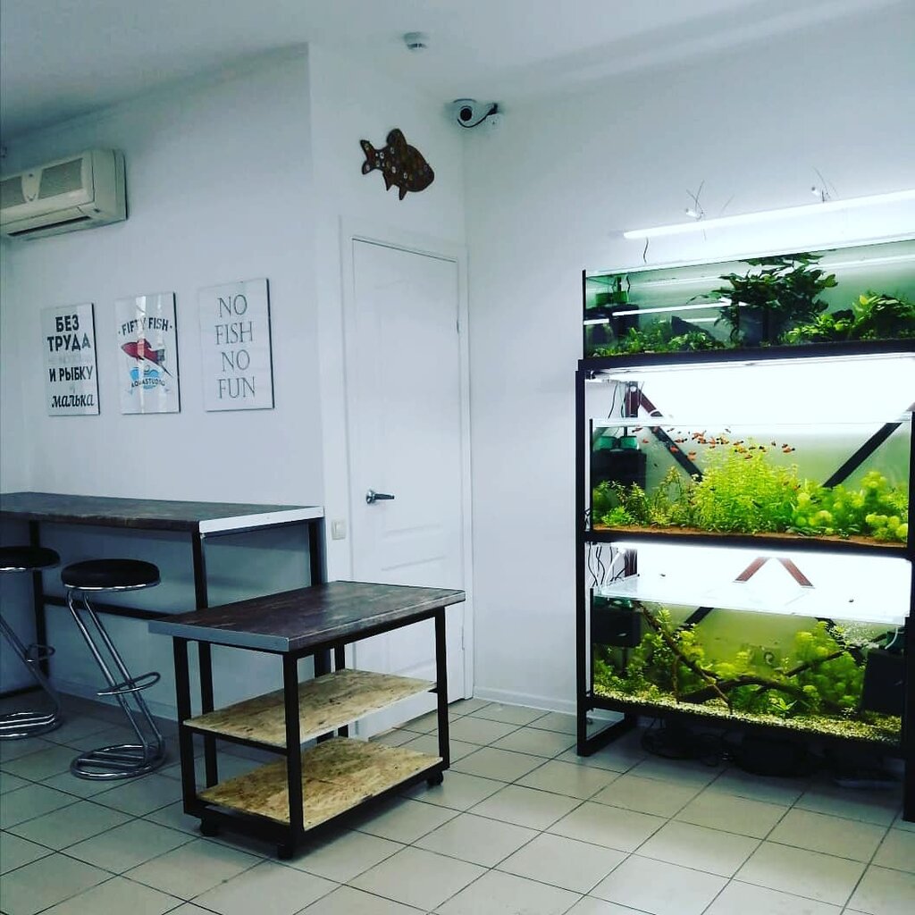 Petshop Аквастудия Fifty Fish, Saratov, foto