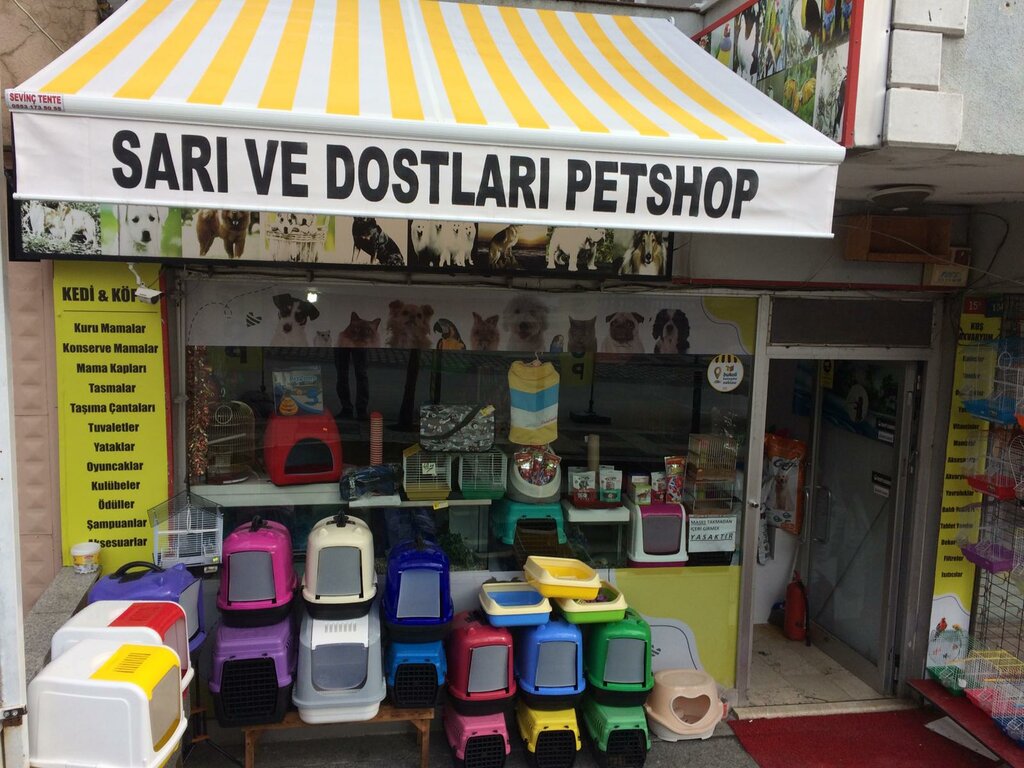 Petshop Sarı ve Dostları PetShop, İstanbul, foto