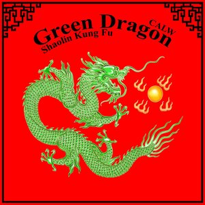 Spor ve eğlence merkezi Green Dragon Shaolin Kung Fu, Calw, foto