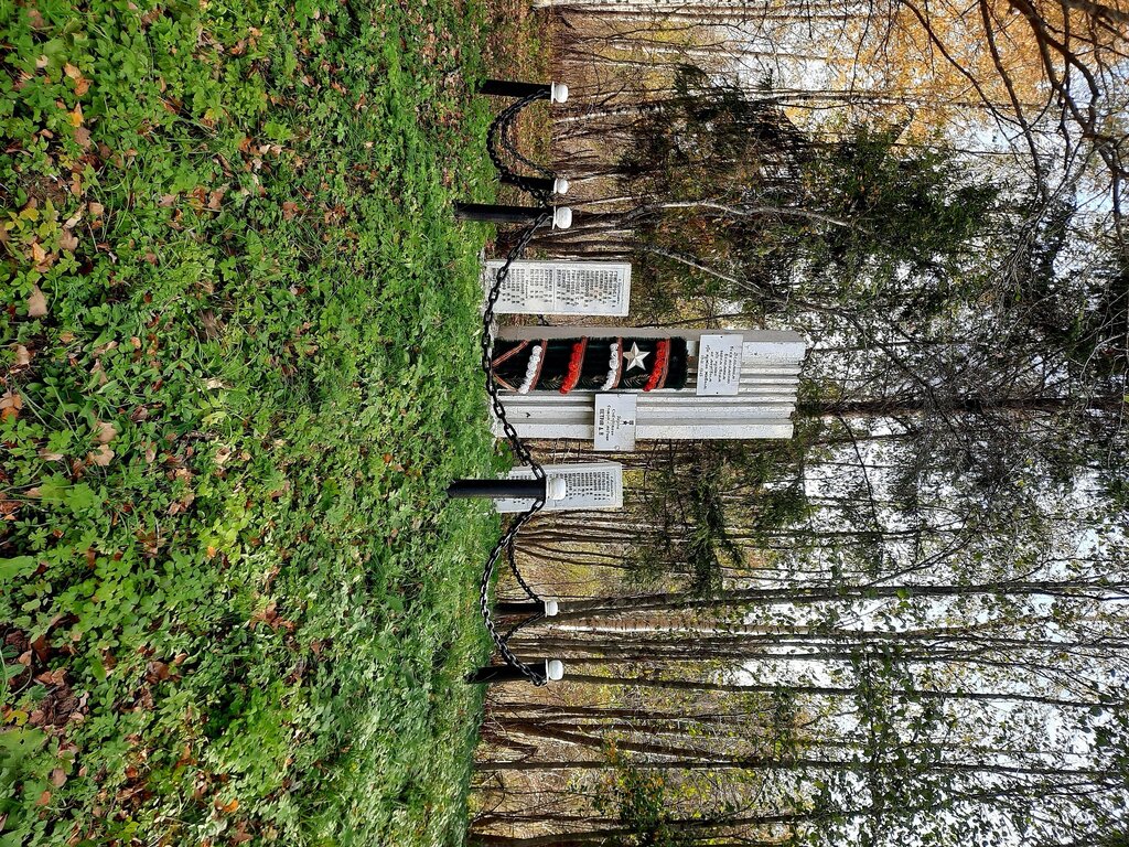 Anıt levhası, anıt taş Герою Советского Союза Д.Н. Петрову, Novgorodskaya oblastı, foto