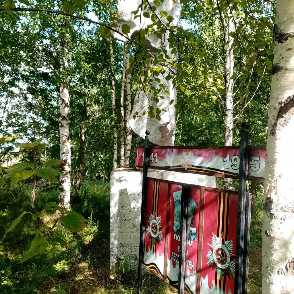 Anıt, heykel Воину-освободителю, Vologodskaya oblastı, foto