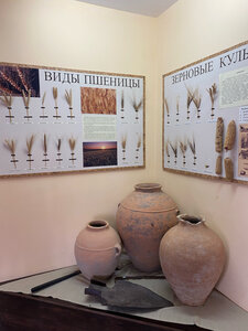 Museum of bread and wine (Pogranichnaya ulitsa No:13А, Arkhipo-Osipovka Village), müzeler ve sanat galerileri  Krasnodarski krayından