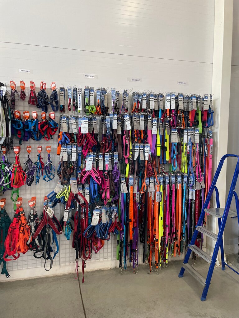 Petshop Petshop. ru, пункт выдачи, Voronej, foto