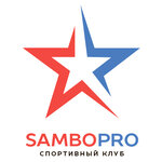 Sambopro (Lenina Street No:61), spor okulları  Ufa'dan