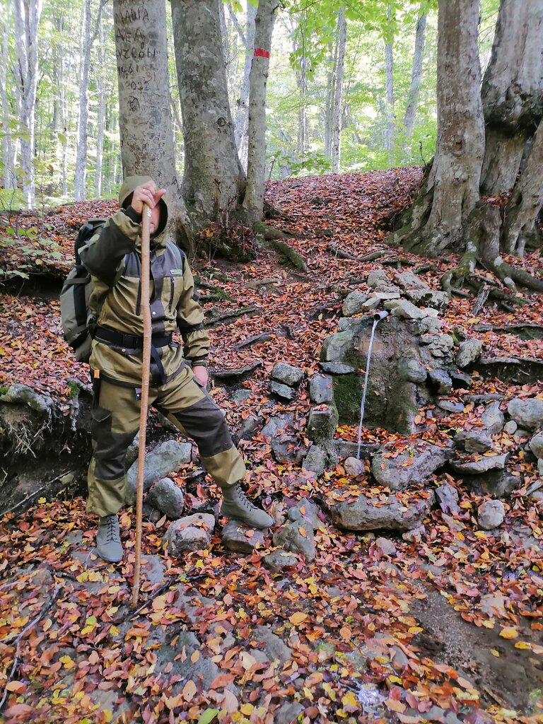 Pınar, çay Родник Павло-Чокрак, Kırım Cumhuriyeti, foto