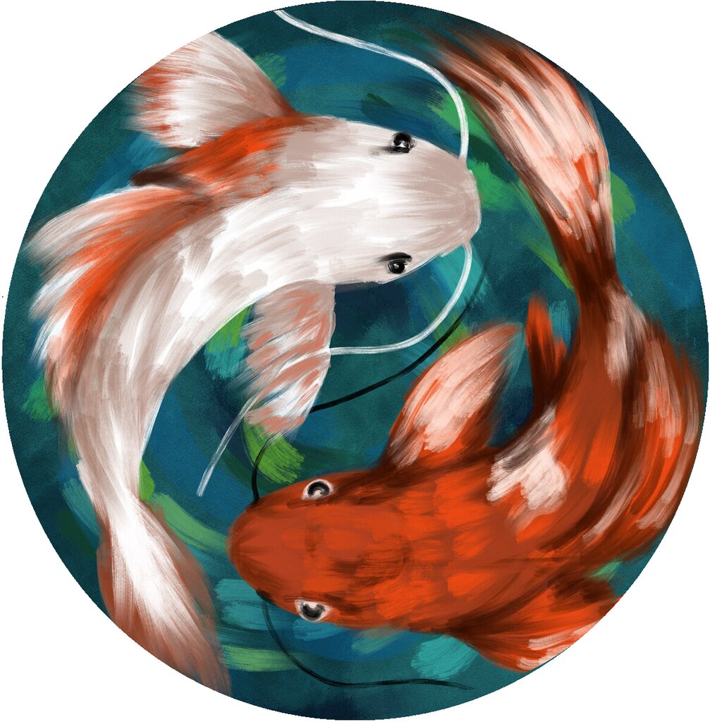 Balıkçılık ekipman firmaları Kingyo.ru, Moskova, foto