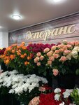 Esperans (ulitsa Truda No:10, mikrorayon Sheksna Severnaya, rabochiy posyolok Sheksna), çiçekçiler  Vologodskaya oblastından