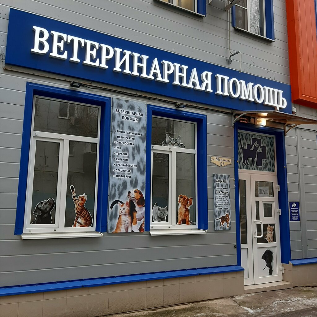 Veteriner klinikleri Ветеринарная помощь, Rostov‑na‑Donu, foto