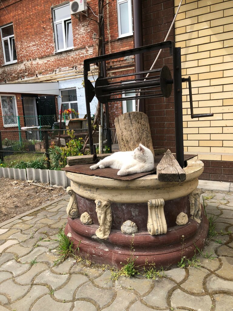 Turistik yerler Доходный дом С.И. и Х.И. Муссури, Taganrog, foto