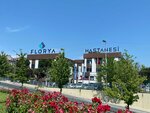 Florya Hastanesi (Gümüşpala Mah., İskeçe Cad., No:64, Avcılar, İstanbul), hastaneler  İstanbul'dan
