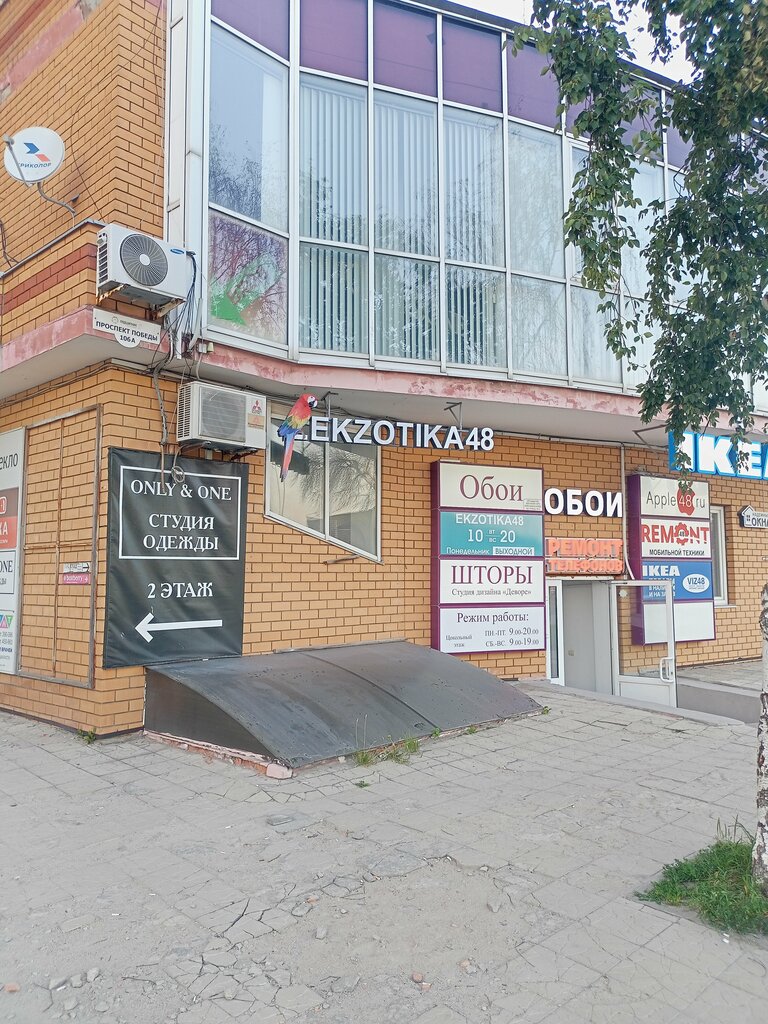 Petshop Ekzotika48, Lipetsk, foto