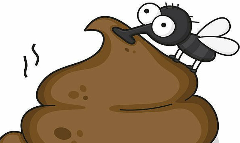 Nargile kafeler Sahara Kalyan Club, Nevai, foto