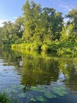 Shevchenko&fish (Moscow Region, Chekhov City District, territorialny otdel Barantsevskiy), balık ve deniz ürünleri  Moskova ve Moskovskaya oblastından