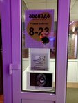 Avokado (Severnaya ulitsa No:413, DNT Sosnovy Bor), market  Moskova ve Moskovskaya oblastından