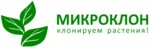 Микроклон (Podmoskovnaya ulitsa No:22А, derevnya Ostrovtsy), fidan yetiştiriciliği  Moskova ve Moskovskaya oblastından