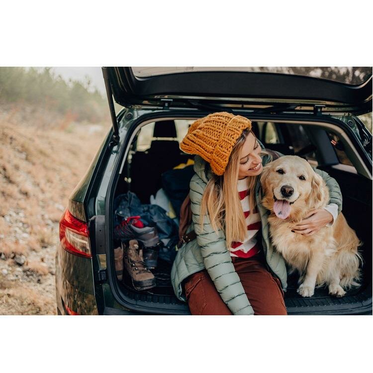 Sigorta şirketleri Huellas De Amor Funeral Pet S. A. S, , foto