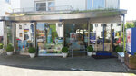 Paracelsus-Apotheke Mannheim (Niederfeldstraße No:84, Mannheim), eczaneler  Mannheim'den