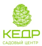 Kedr (Saint Petersburg, istoricheskiy rayon Podgornoye Pulkovo), fidan yetiştiriciliği  Saint‑Petersburg'dan