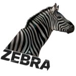 Zebra (Kuybysheva Street No:16А), resim, tablo ve çerçeve mağazaları  Vladimir'den