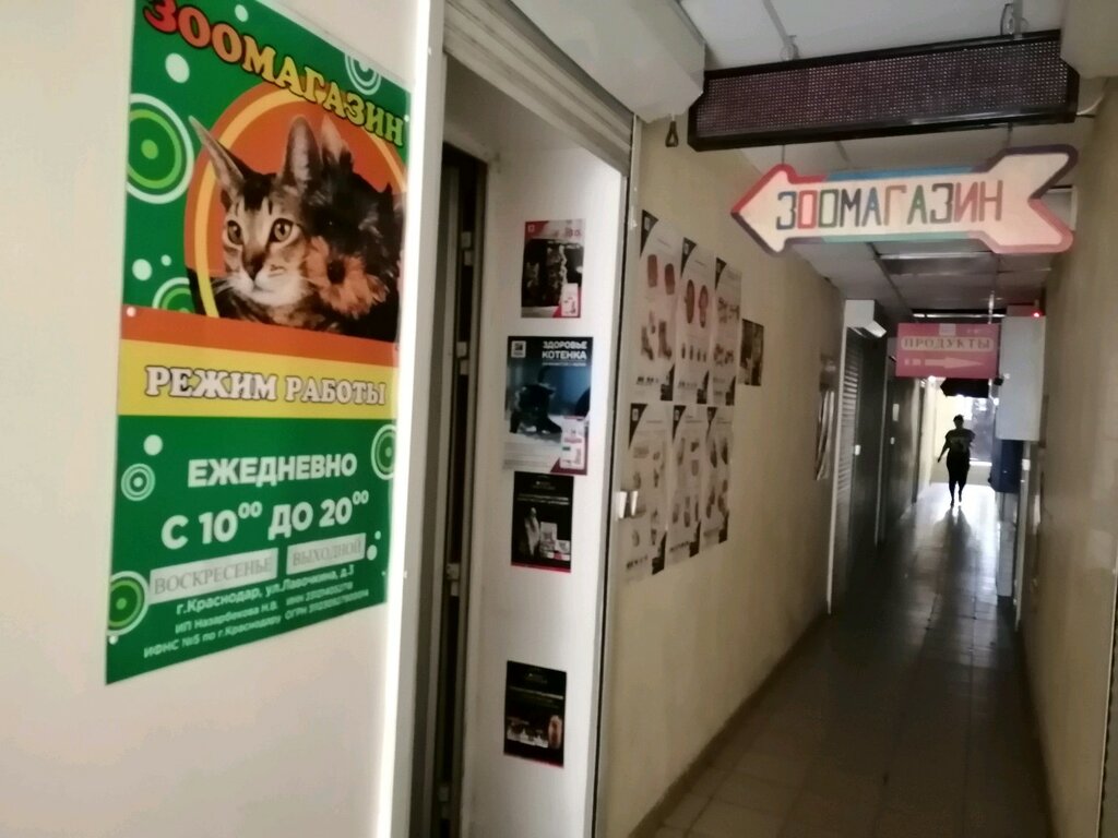 Petshop Zoomagazin, Krasnodar, foto