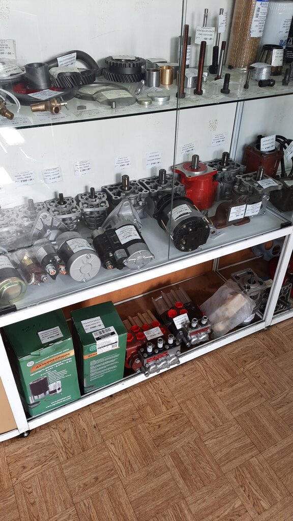 Otomobil yedek parçaları MOTOR-Borzya, Borzia, foto