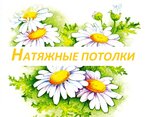 Potolki (ulitsa Lenina No:90Б), tavan sistemleri  Jeleznogorsk'tan