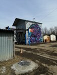Лесные дали (Moscow Region, Odintsovo), garajlar  Odintsovo'dan
