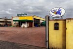 Ortofrutta Delfino (Lazio, Viterbo, Monterosi), toptancılar  Lazio'dan