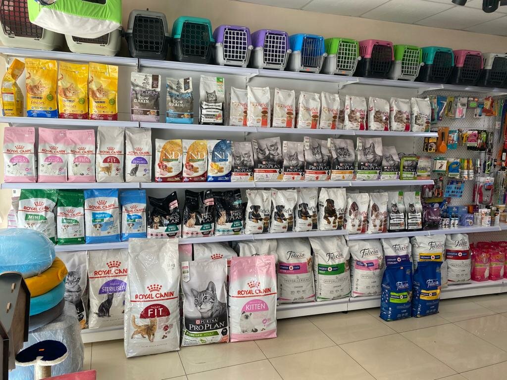 Petshop Atlas Petshop, İstanbul, foto