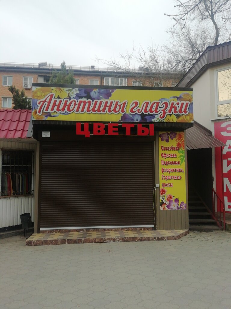 Çiçekçiler Анютины глазки, Prohladny, foto