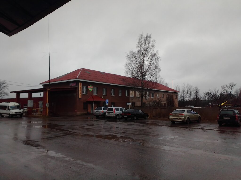 Otomobil yedek parçaları Avtozapchasti, magaziny, Ip Syroyezhkin S. N., Nelidovo, foto