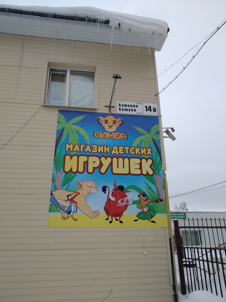 Çocuk oyunları ve oyuncakları Симба, Uhta, foto