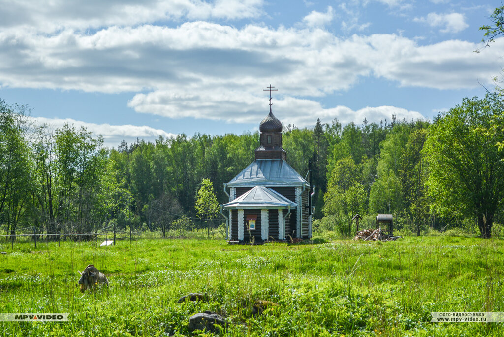 Ortodoks kiliseleri Церковь Блаженной Матроны Московской, Novgorodskaya oblastı, foto