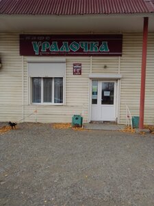 Kafe Uralochka (ulitsa Engelsa No:44), kafe  Revda'dan