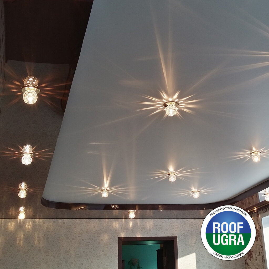 Tavan sistemleri Roof-ugra, Surgut, foto