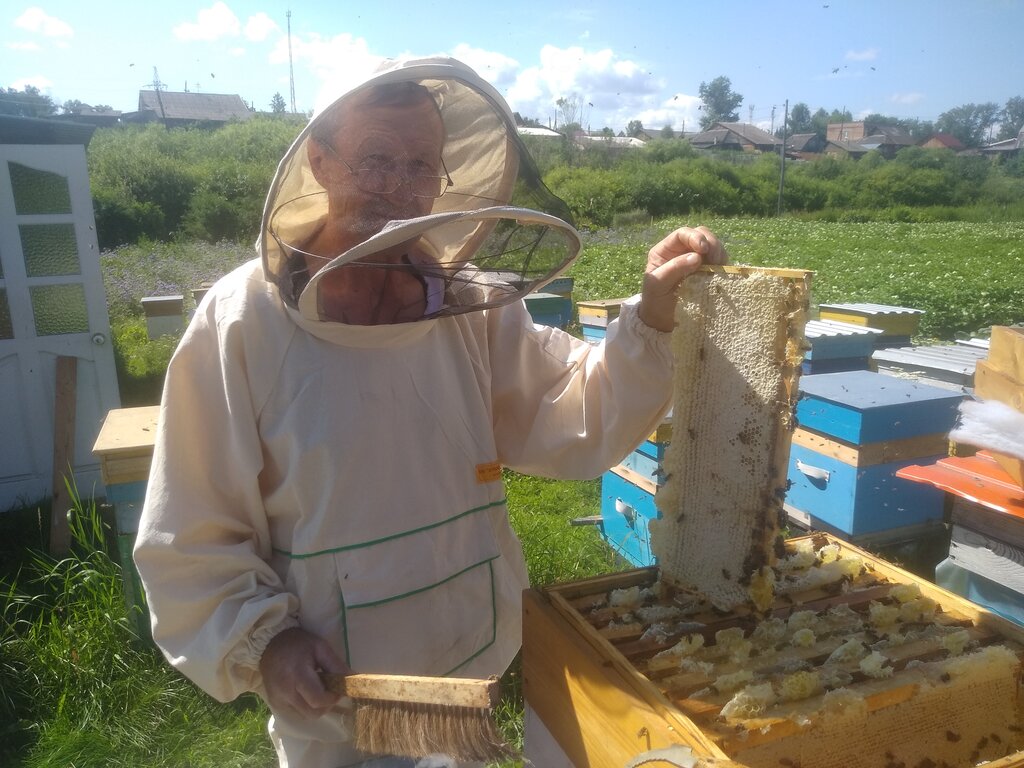 Bal ve arıcılık firmaları Пасека Сысоева, Krasnoyarski krayı, foto
