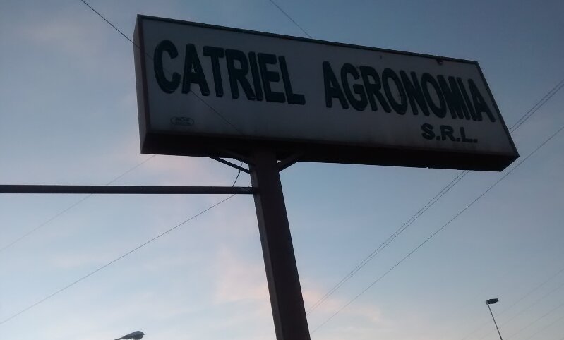 Yapay çam ağaçları ve süsleri Catriel Agronomia Srl, , foto