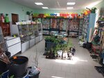 Eliziya Svetly (Portovaya ulitsa No:6А), balıkçılık ekipman firmaları  Svetly'den