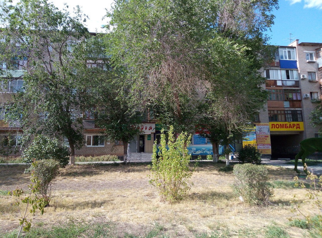 Market Дарья, Novotroitsk, foto
