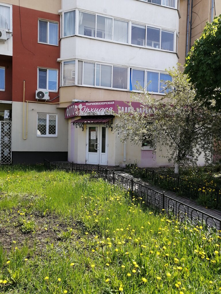 Kuaförler Орхидея, Belgorodskaya oblastı, foto