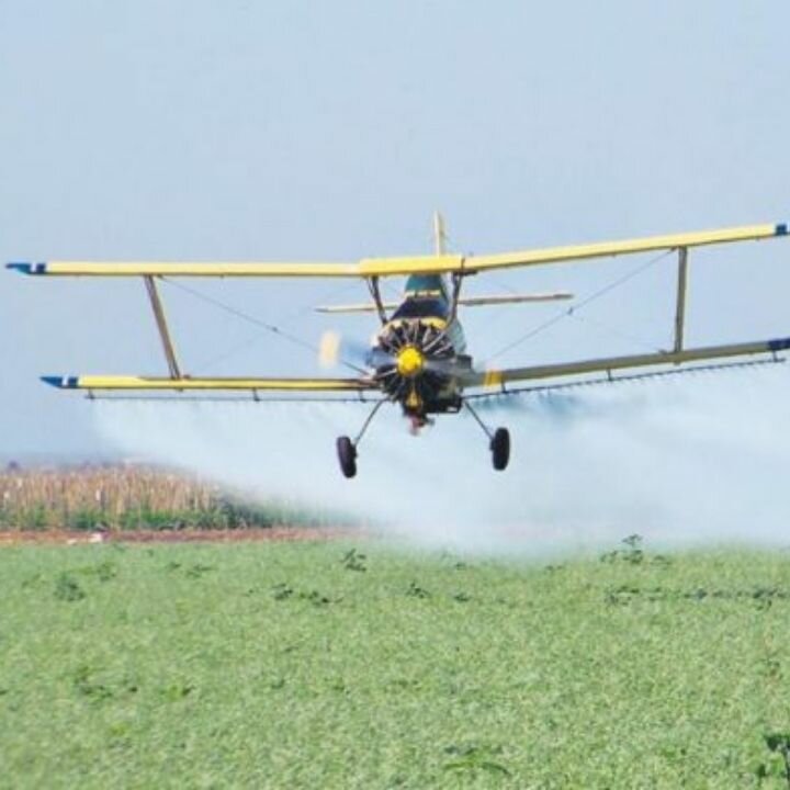 Kimyasal üretim firmaları Chaco Fumigaciones, Buenos Aires, foto